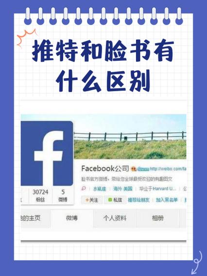 中国允许看脸书吗图标
