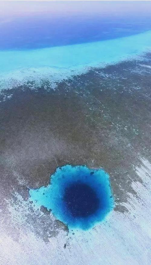 十部顶级海洋电影图标