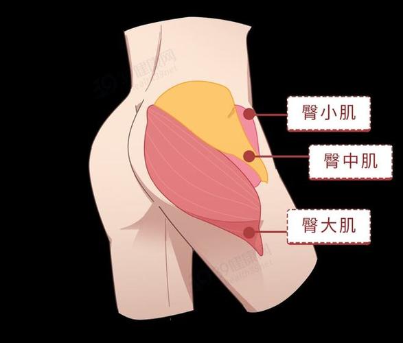 孩子总放屁还很臭怎么回事图标