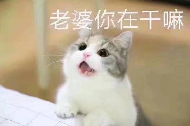 小老婆是用来干嘛的图标