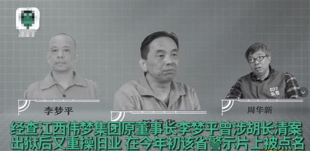 江西伟梦集团有限公司王朝华截图