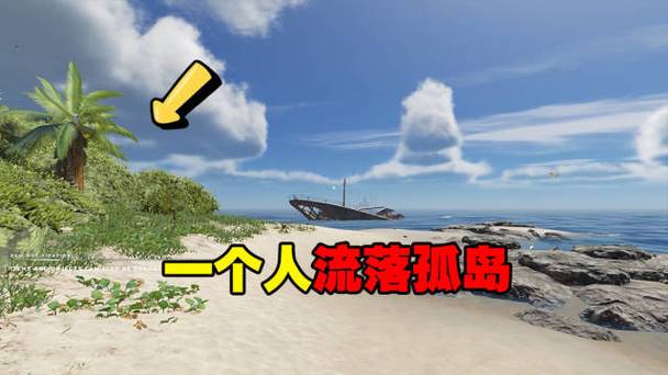 荒岛求生,飞机坠落来到了一个荒岛播图标