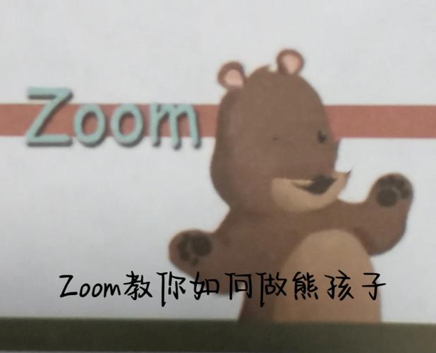 Zoom用英语怎么说图标