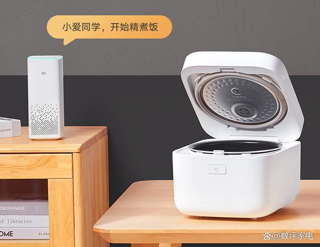 小米p1电饭煲上市时间图标