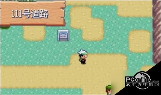 口袋妖怪沙漠幻影塔有什么截图