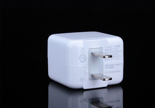 vivoy66支持快充吗图标