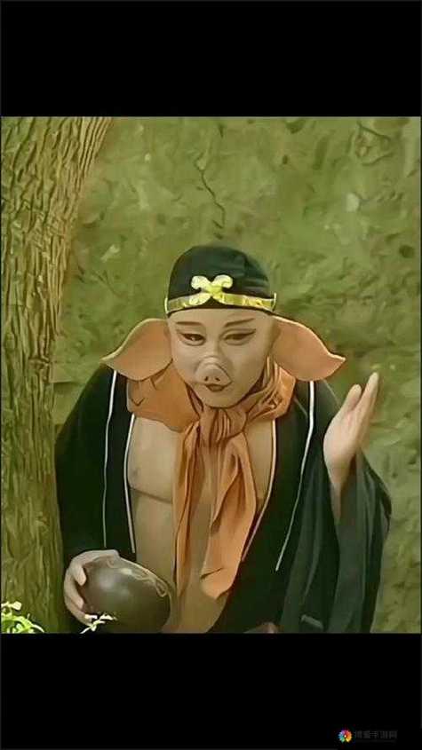 八戒八戒在线高清观看免费版第8集图标
