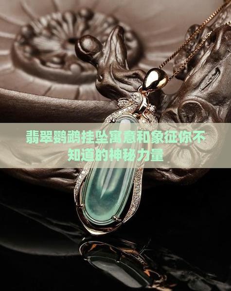 玉鹦鹉的寓意是什么图标