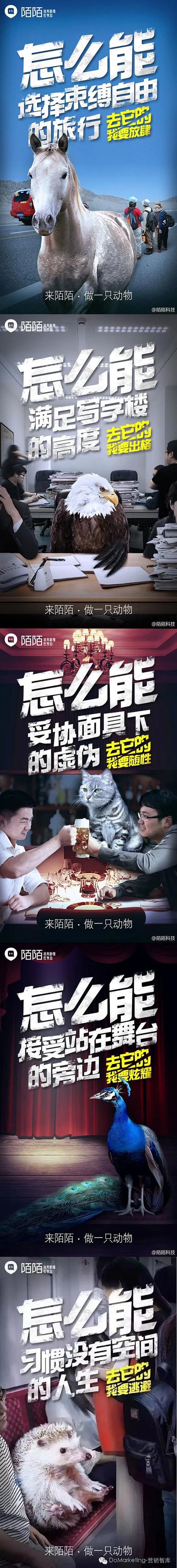 陌陌小说图标