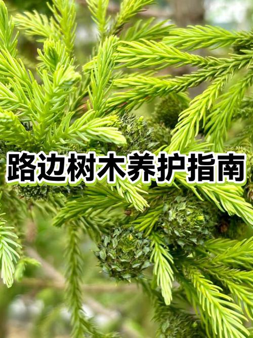 开水浇大树最忌三种水图标