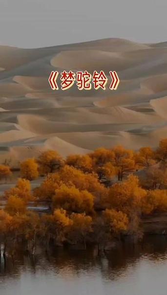 梦驼铃原唱最原始的唱图标