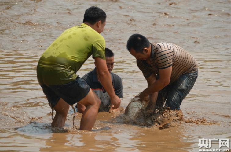 低级浑水摸鱼图标