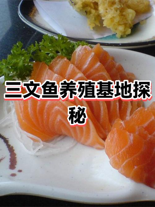 现在三文鱼有污染吗图标