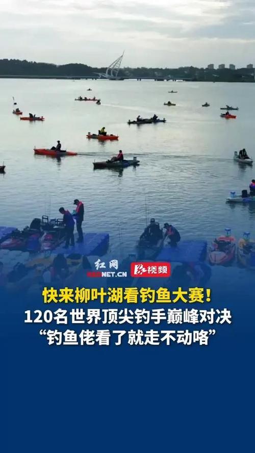巅峰赛最多可以钓到多少分图标