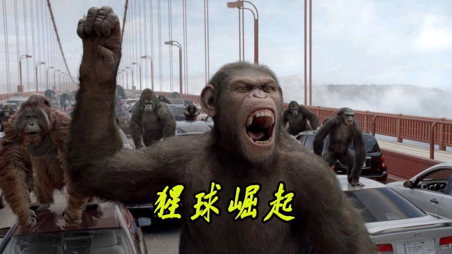 猩球崛起1在线播放图标