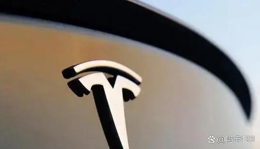 占宝生的tesla商标卖了多少截图