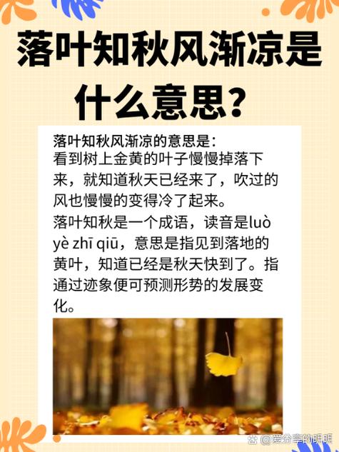 落叶知秋的歌词图标