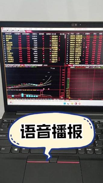 ipad变成语音播报了图标
