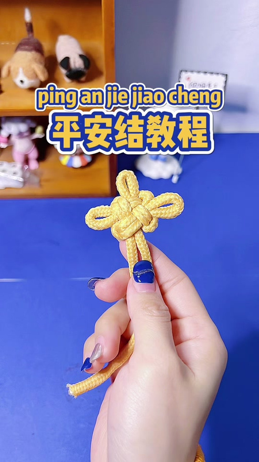 编绳子的编法图解图标