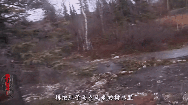 荒野求生100天图标