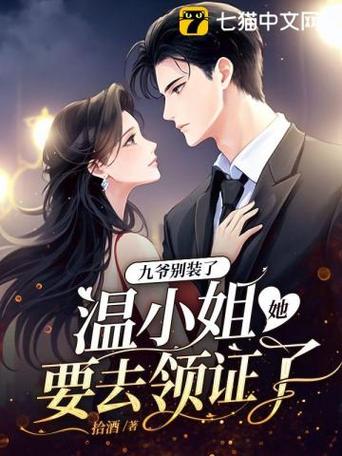 豆豆网有本小说女主是总裁姓温图标