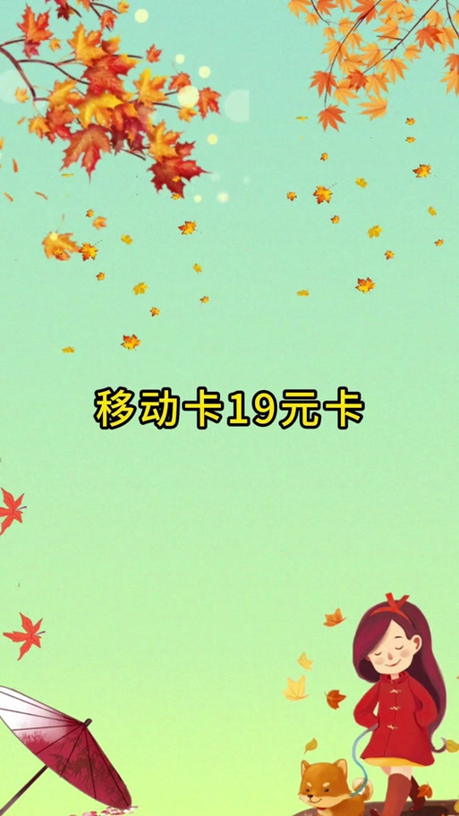 永久19元流量卡
