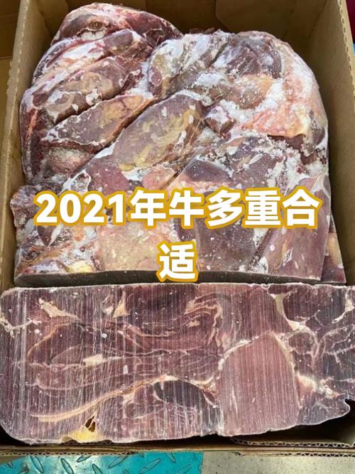 2021的牛是什么牛图标