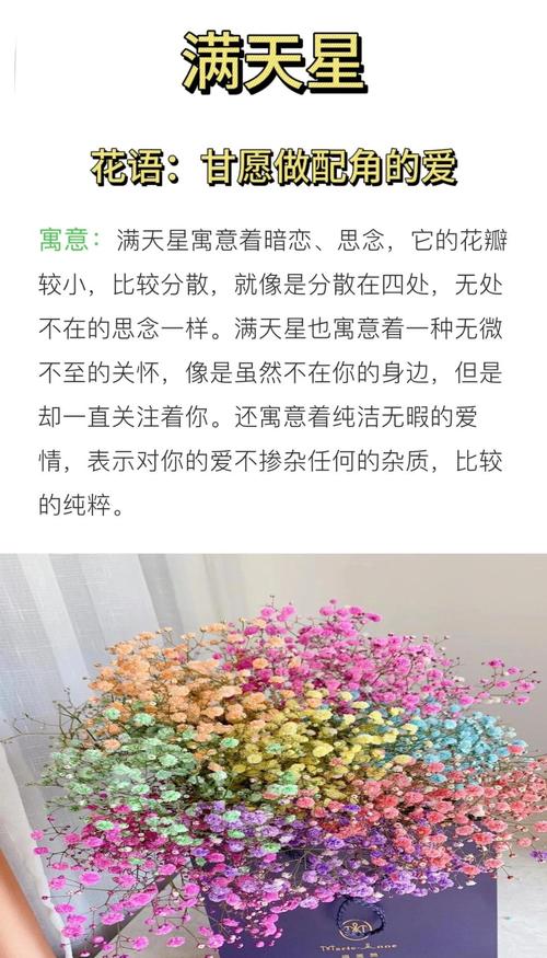 漫天满天星的花语图标