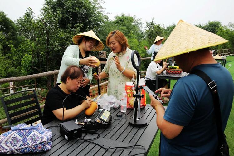乡村悠闲直播系统图标