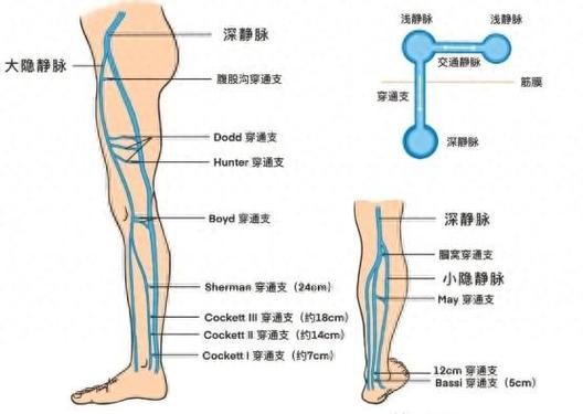 最简单的内网穿透图标