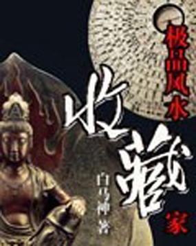 极品风水收藏家TXT截图