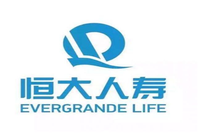 人寿官网截图