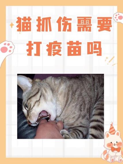 猫挠需要打狂犬疫苗吗图标