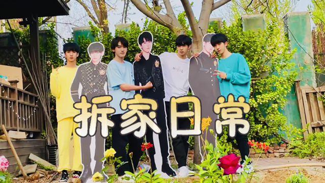 时代少年团拆家日常搞笑视频图标
