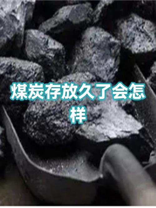 煤可以放几年不变质图标