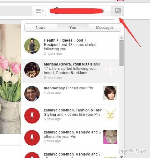 pinterest 进不去截图