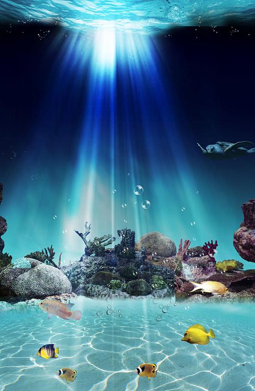 手机水族馆屏保图标