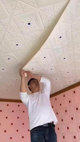 房间天花板上面叫什么截图
