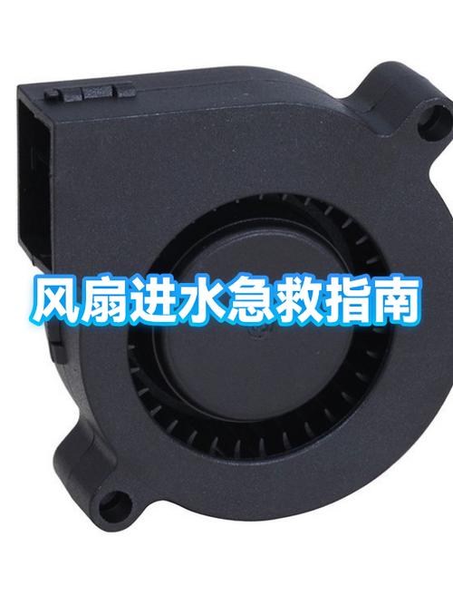 电器不小心进水怎么办图标