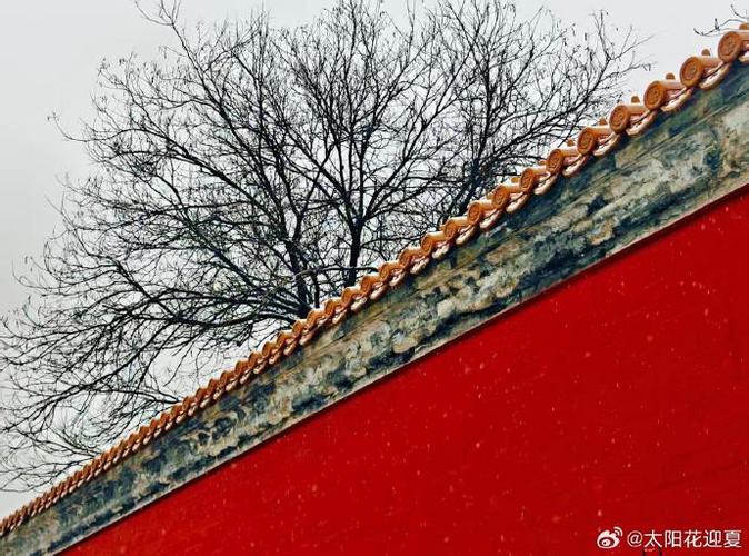 朱墙白雪图标