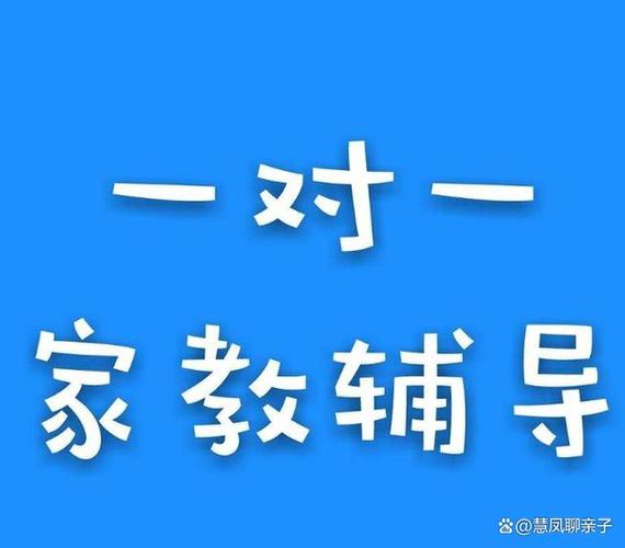 专业一对一辅导,家教