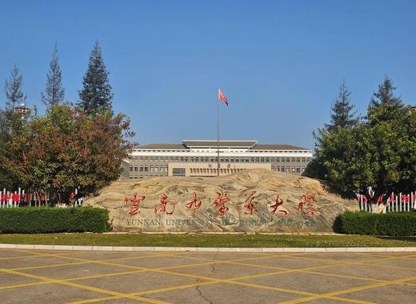 云南省招生考试院图标