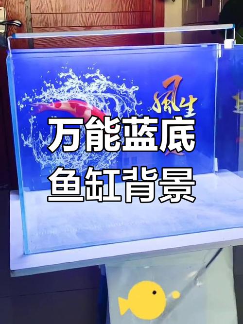 鱼缸蓝色背景养鱼好不好图标