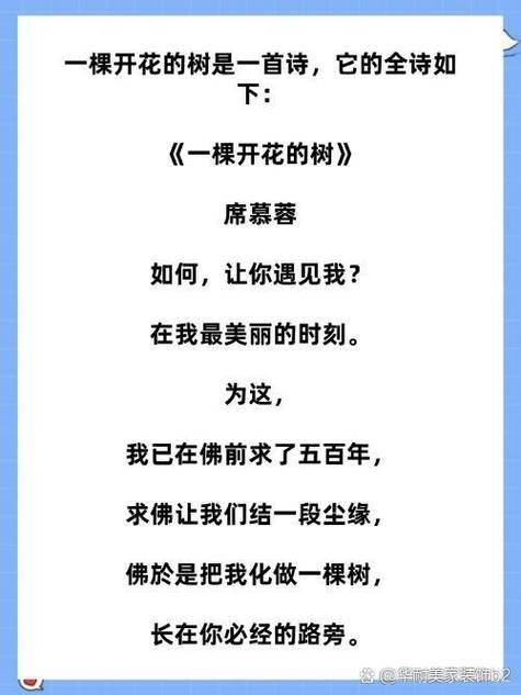 一棵开花的树全诗原文截图