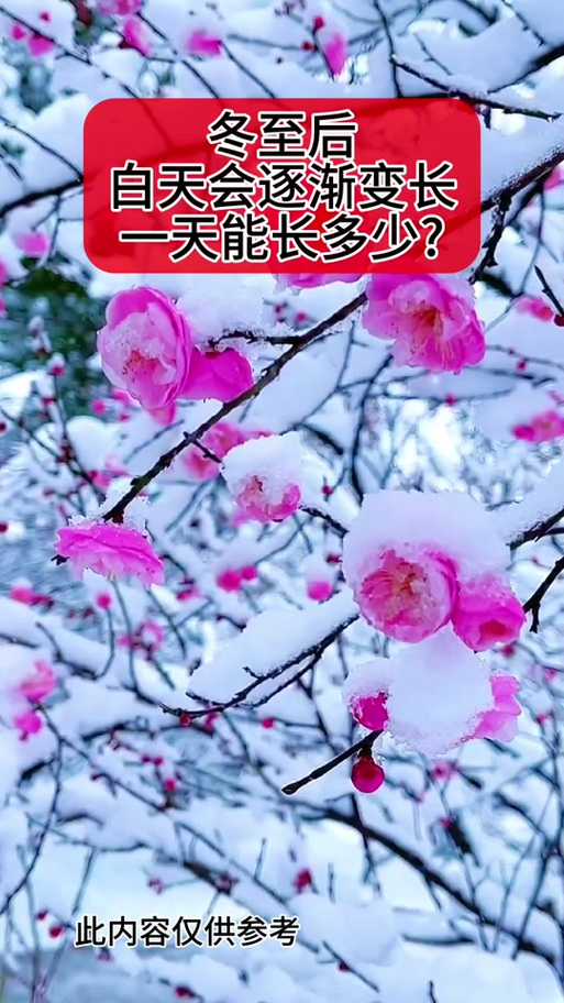 冬至以后天是不是越来越长了图标