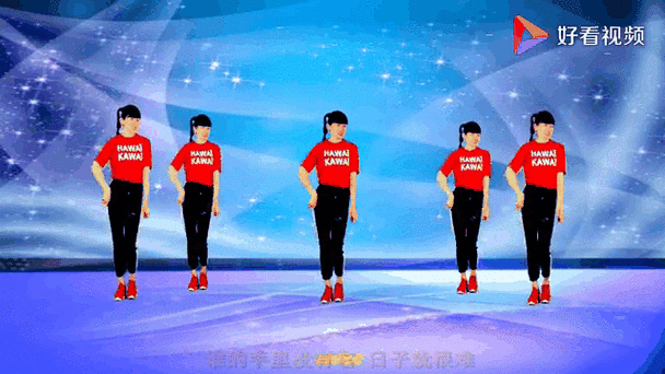 全部老歌广场舞图标
