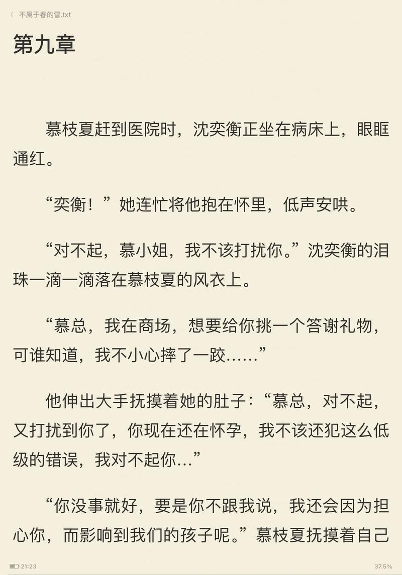 亲爱的陆太太傲轩小说网图标
