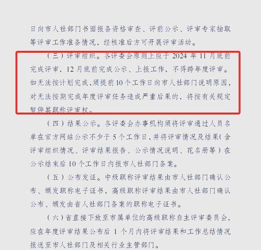 职称2024年新规图标
