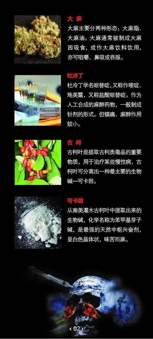 毒的分类图标