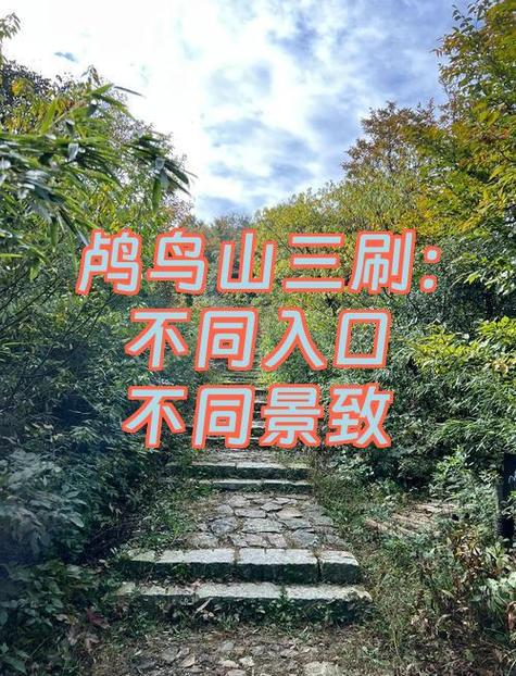 七绝山有必要刷吗图标